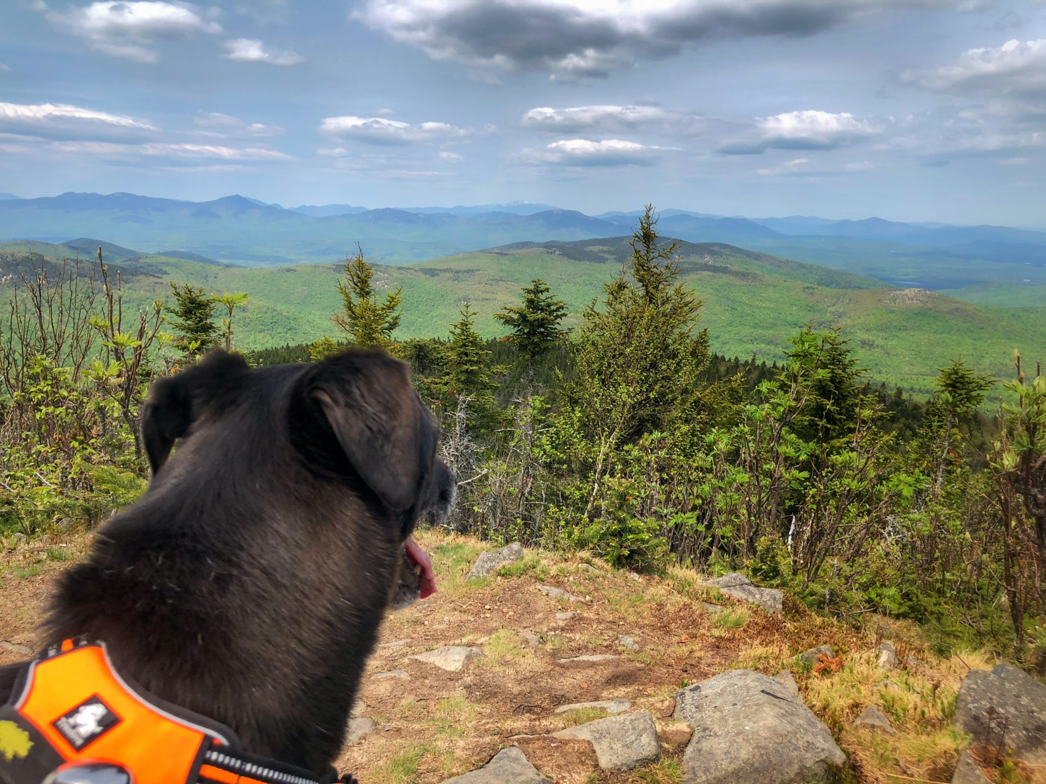 Hiking the NH 52 With a View: Mount Shaw